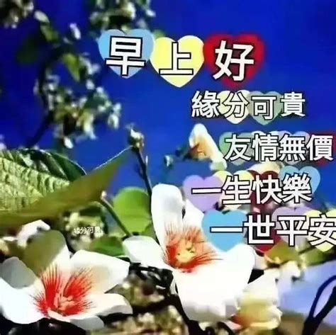 缘分可贵，友情无价，知心朋友心贴心，天天问候是真心一世平安一生
