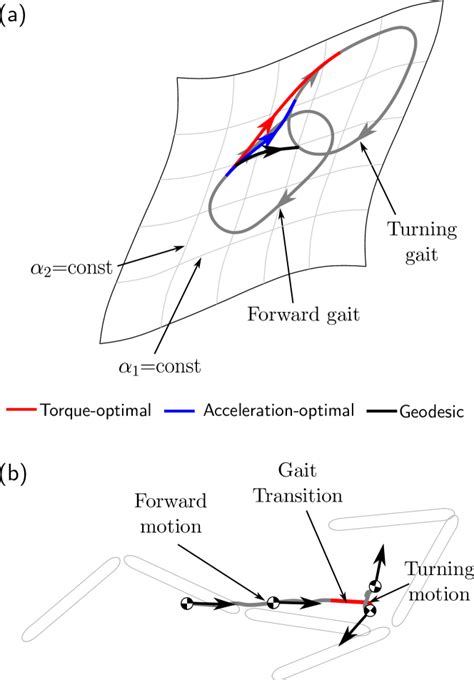 Optimal Control Approach For Gait Transition With Riemannian Splines