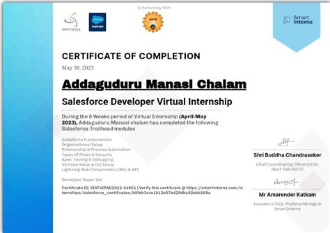 Manasi Chalam On Linkedin Smartinternz Salesforce Skillsdevelopment