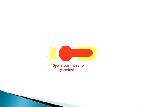 Bacterial Cell Structure Function Pptx Biological Sciences Science