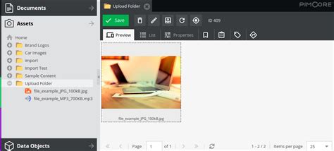 Bug Asset Preview Tab Pagination Breaks For The Folder Which Has Audio Files And Other