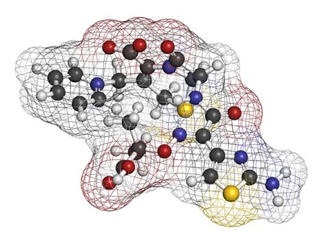 Antibiotic Ceftazidime Stock Illustrations 30 Antibiotic Ceftazidime Stock Illustrations