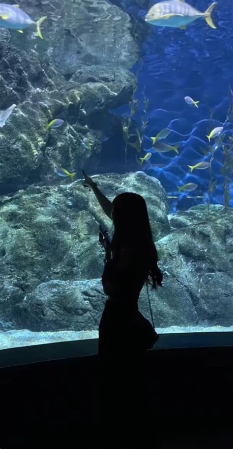 pink noel adlı kullanıcının 背影 panosundaki Pin Sualtı fotoğrafçılığı Fotoğraf Akvaryum