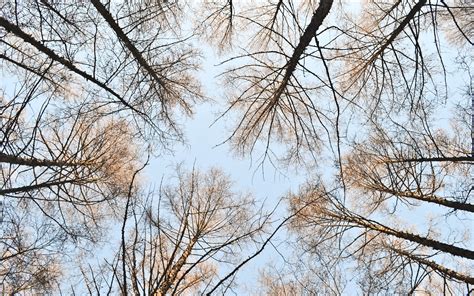 The Boundary Extractor Vs The Regular Expression Extractor In Jmeter