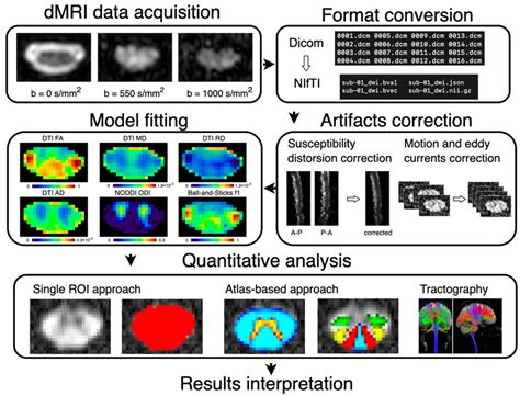 Typical Dmri Workflow Dmri Data Acquisition Is Followed By Format Download Scientific Diagram