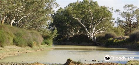 Things To Do In Innamincka In 2024 Top Attractions Local Food Hotels And Travel Tips