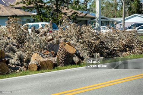 플로리다 주거 지역의 허리케인 바람으로 길가에 부러진 나뭇가지와 가지 자연재해의 여파 0명에 대한 스톡 사진 및 기타 이미지 0명 Hurricane Ian 가을 단풍