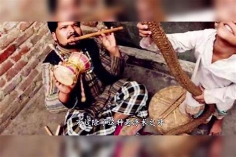 印度通天绳到底是咋做到的内幕解开后感觉智商受到侮辱 内幕 智商 感觉