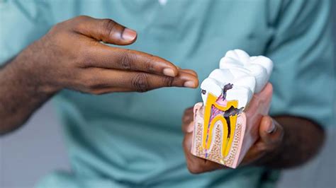 Dentistry Interview Biology Medicine And Health University Of Manchester