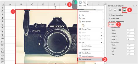 6 Ways To Crop Images In Microsoft Excel INFOXIAO