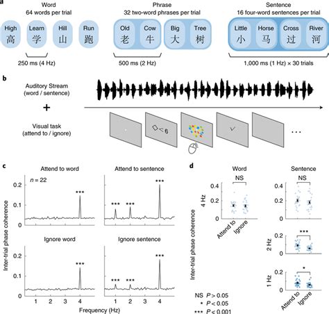 paradigm and neural tracking of hierarchical linguistic structures a