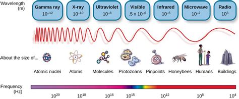 Psychology Sensation And Perception Waves And Wavelengths Oer Commons