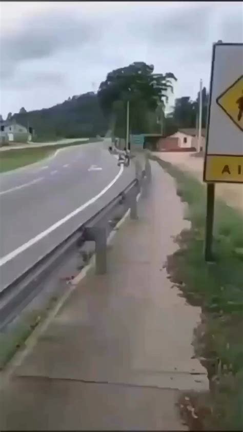 Clever Trick Ronesecondbeforedisast