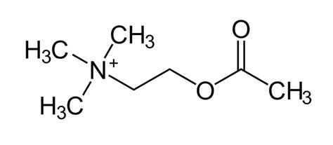 Acetylcholinesterase Chemical Structure