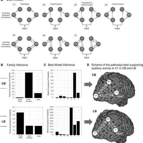 Dynamic Causal Modelling Analyses A The Seven Dynamic Causal Models Download Scientific