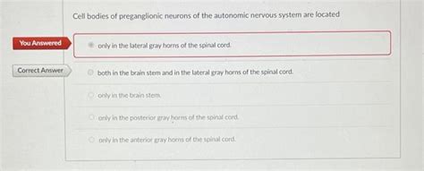 Solved Cell Bodies Of Preganglionic Neurons Of The Autonomic