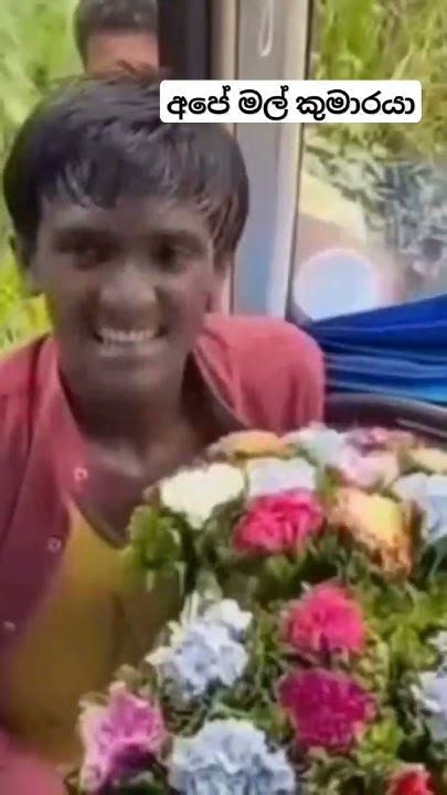 අපෙ මල් කුමාරය💃💃🌻🌻🌻🌻 Youtube