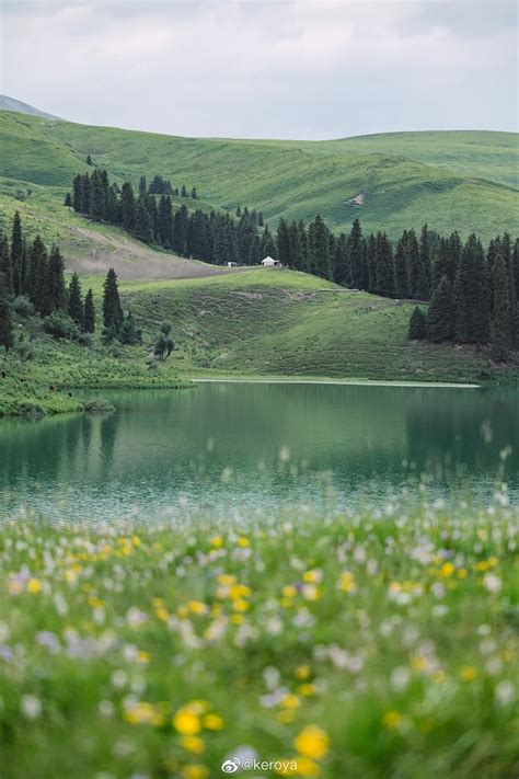 摄影风景 山水 唐布拉仙女湖的春天 微博 keroya 花瓣网