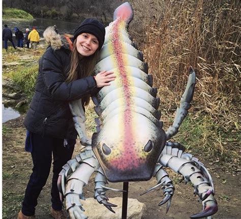 Giant Scorpion Fossil