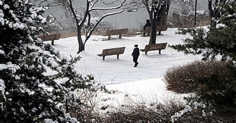 혼자 걷는 눈 덮인 공원 길