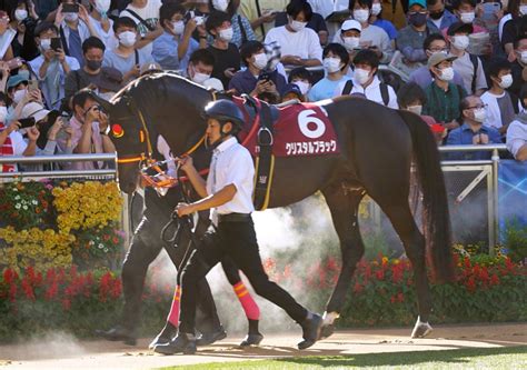 9月25日中山競馬★オールカマー★クリスタルブラック★2年ぶりの復帰戦★次走キャピタルs 公式：黒澤ひかりのキラキラ日記～magic