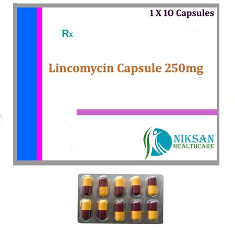 Lincomycin Capsules Store At Cool And Dry Place At Best Price In Surat