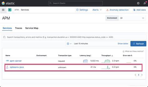 observability：设置 elastic apm java 代理 自动设置 csdn博客