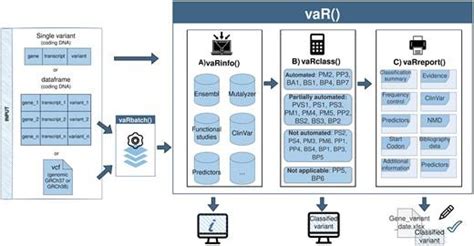 Varhc An R Package For Semi Automation Of Variant Classification In