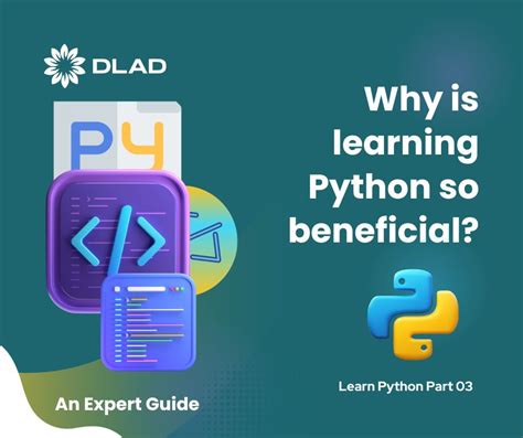 Python Python Programming Coding Java Javascript Programmer