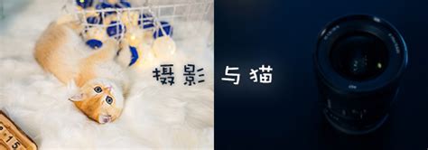 轩枫阁 前端开发 Web前端技术博客