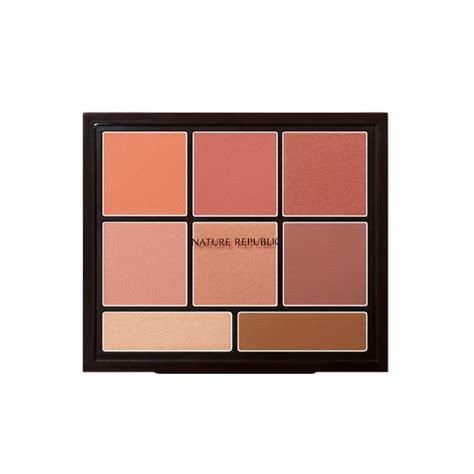 네이처리퍼블릭 프로터치블러셔팔레트 80할인 티몬