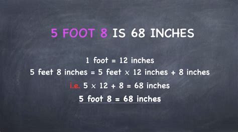 What Is 5 Foot 8 In Inches Opera Residences