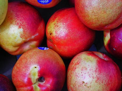 Delicious Nectarines Photograph By Elizabeth Hoskinson Fine Art America