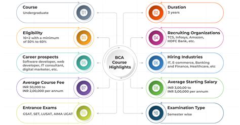 Bca After 12th Commerce 2024 Guide