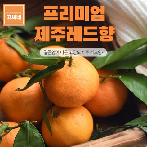 고씨네 프리미엄 레드향3kg 한라봉 천혜향 제주감귤 홈플러스 택배배송