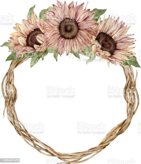 해바라기 화환 수채화 노란색과 갈색 꽃 카드 디자인 손으로 그린 그림 해바라기 프레임 0명에 대한 스톡 벡터 아트 및 기타 이미지 Istock