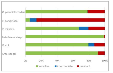 Otitis Externa In Dogs Data Analysis Of Ear Swab Samples From 2016