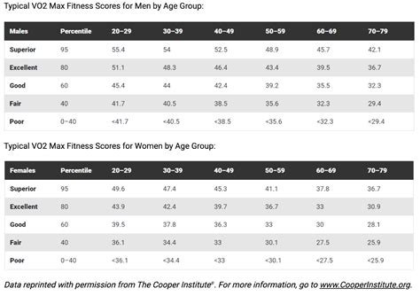 Understanding Vo2 Max The Key To Heart Health And Longevity Welltree