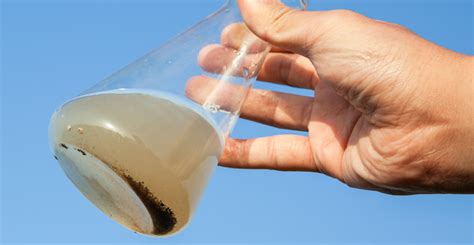 Soil Testing Crop Services International Soil Testing Consulting Agricultural Products