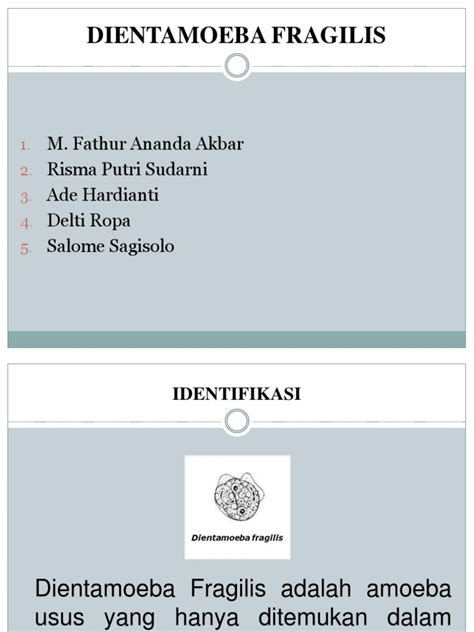 Dientamoeba Fragilis Pdf