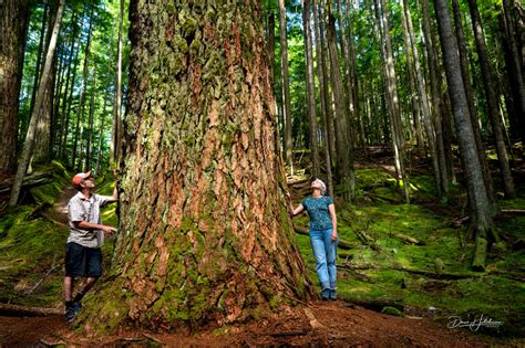 Nature Photo Tours On Vancouver Island Salish Sea Nature Connections
