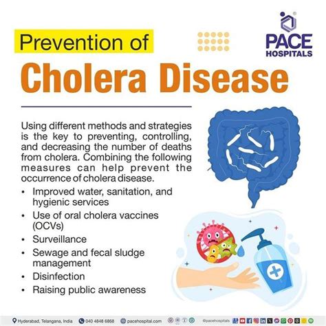 Ways To Prevent The Spread Of Cholera