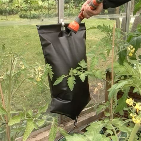 Vanding Og Gødning I Drivhuset Goerdetselvdk