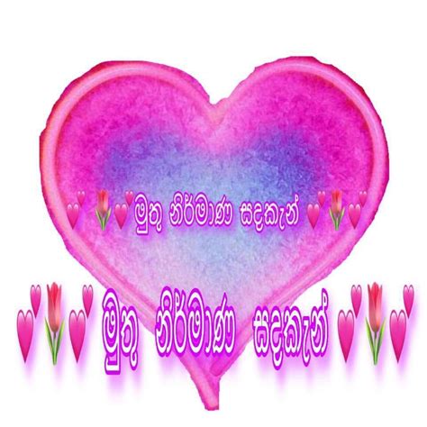 🌷 මුතු නිර්මාණ සදකැන් පාරාදීසය 🌷