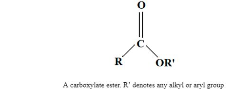 Difference Between Ester And Ether