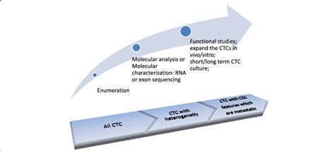 CTC Researches Undergone The Three Stages CTC Enumerations Include Download Scientific Diagram