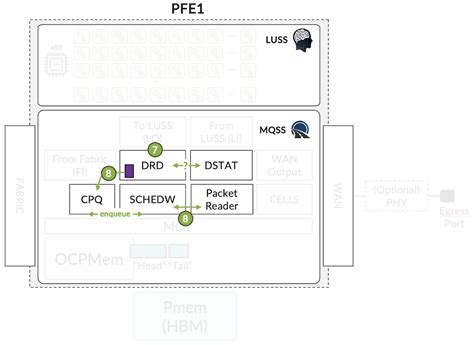Trio 6 Packet Walkthrough