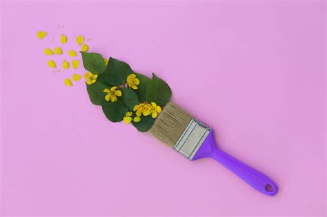 분홍색 배경에 페인트 브러시와 노란색 야생 꽃과 창조적 인 레이아웃 공간 평평한 평지 상단 뷰를 복사합니다 0명에 대한 스톡 사진 및 기타 이미지 Istock