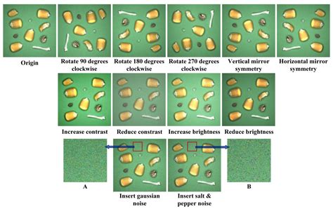 A Tiny Object Detection Approach For Maize Cleaning Operations