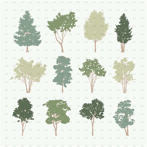 Different Types Of Trees Graphic Illustration